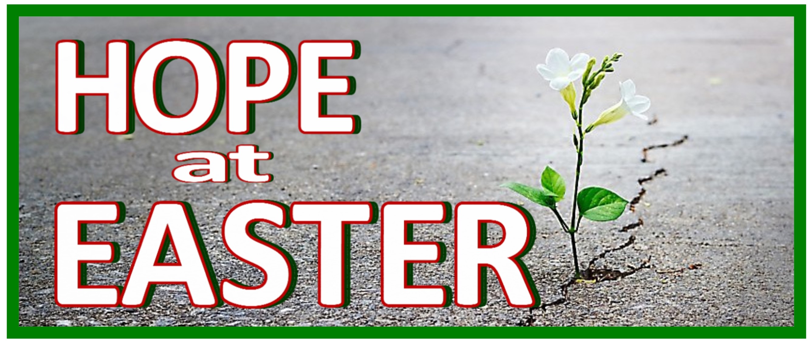 FINDING HOPE AT EASTER: A MESSAGE FOR THOSE SUFFERING MENTAL TORMENT ...