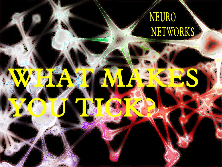 The Neuroscience of Motivation and Persistence by Christopher Bergland ...